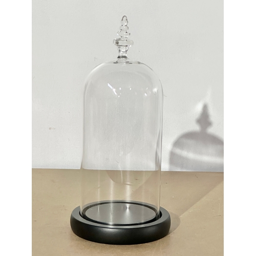 A glass dome display on stand. 27cm